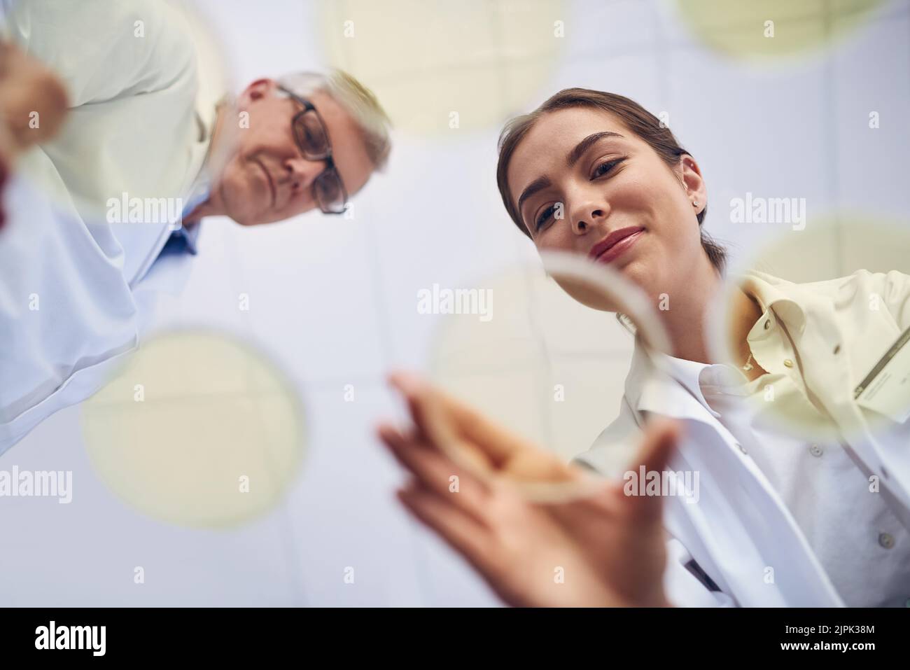 Making another outstanding discovery. Low angle shot of two scientists ...
