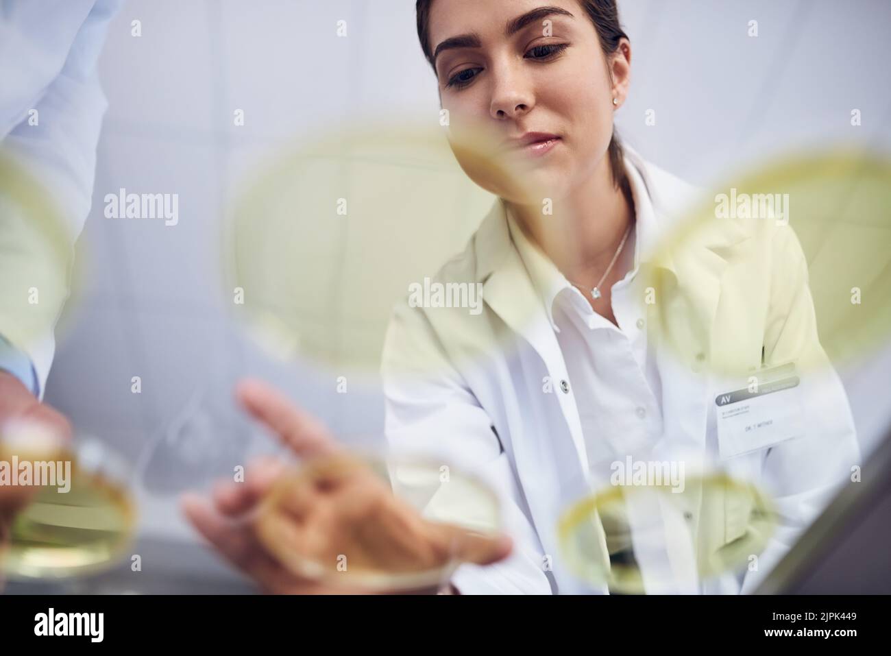 Science is all about careful observation. Low angle shot of two ...