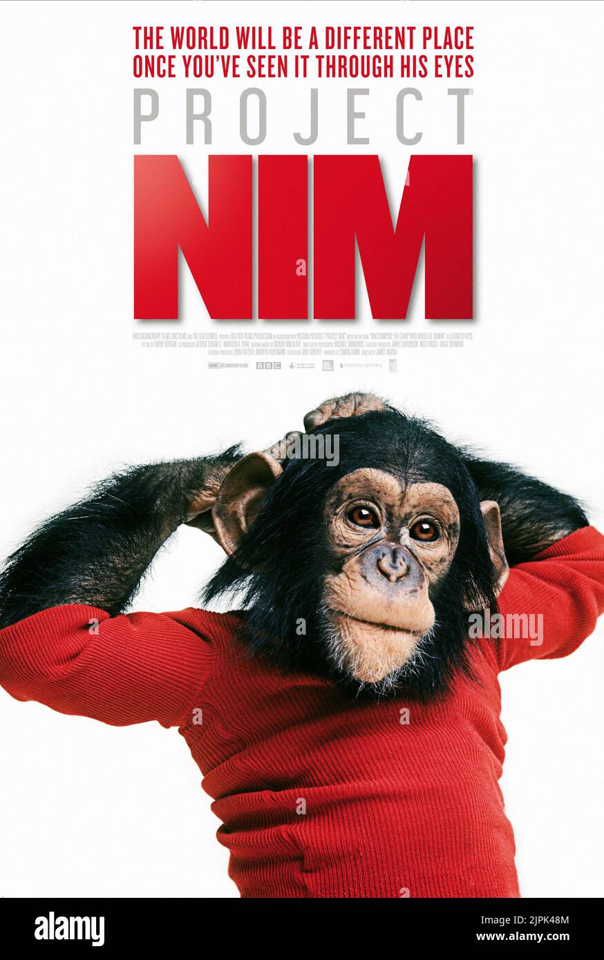 Proyecto animal hi-res stock photography and images - Alamy