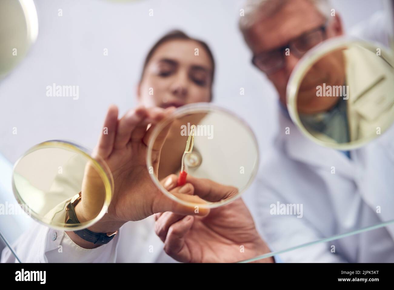 Closely observing the chemical reaction. Low angle shot of two ...