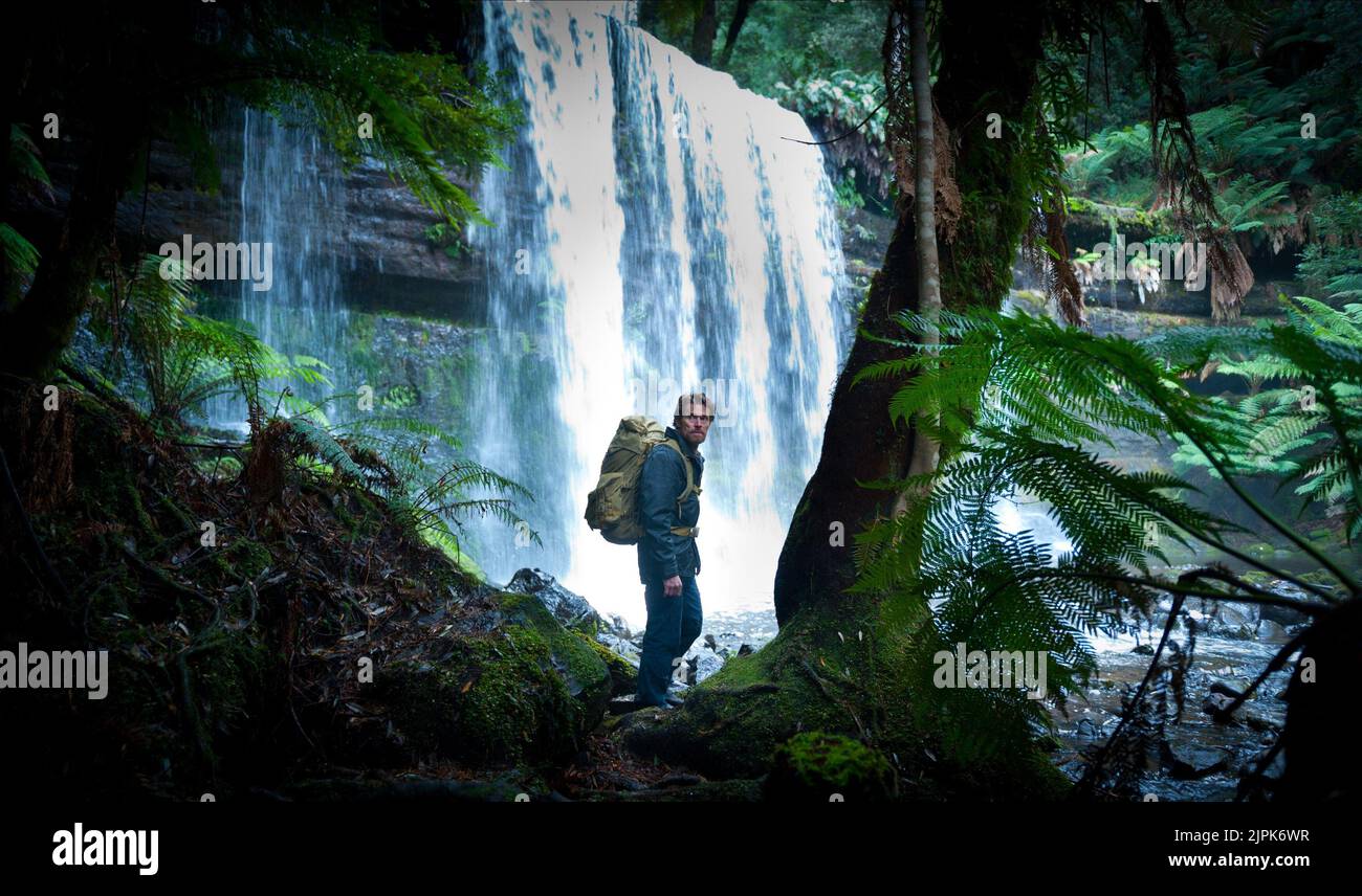 WILLEM DAFOE, THE HUNTER, 2011 Stock Photo - Alamy
