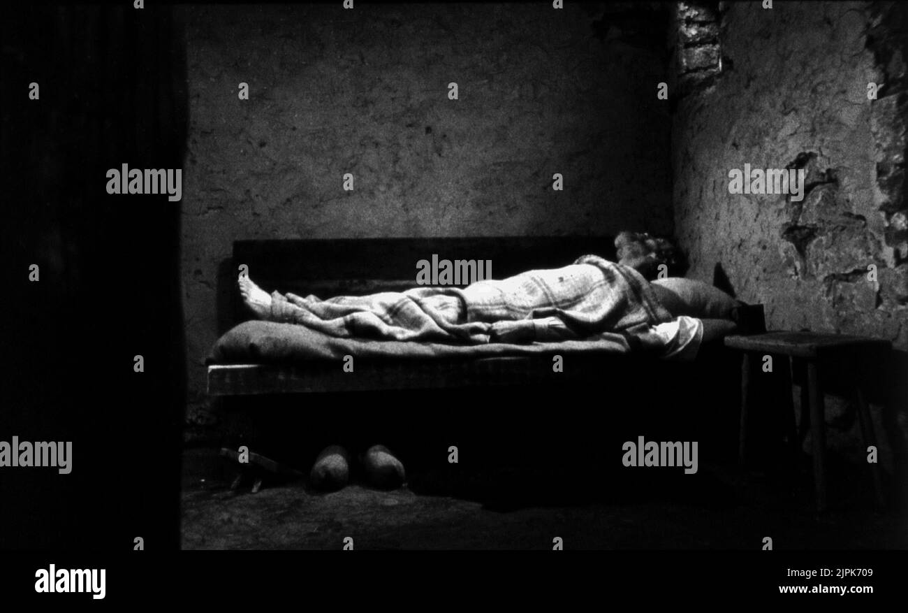 The turin horse film hi-res stock photography and images - Alamy