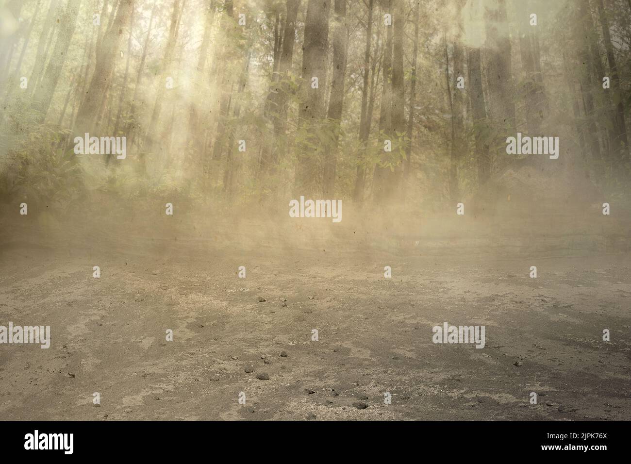 Haunted forest with fog and dramatic scene background. Halloween ...