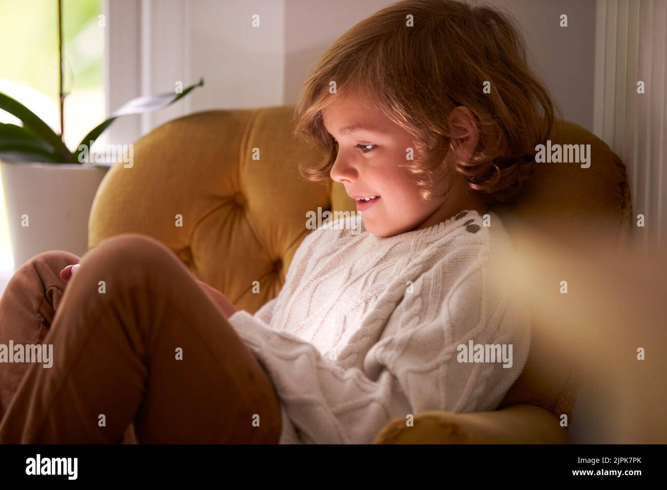 boy, smiling, home, display, childhood, boys, smile, homes, displays ...