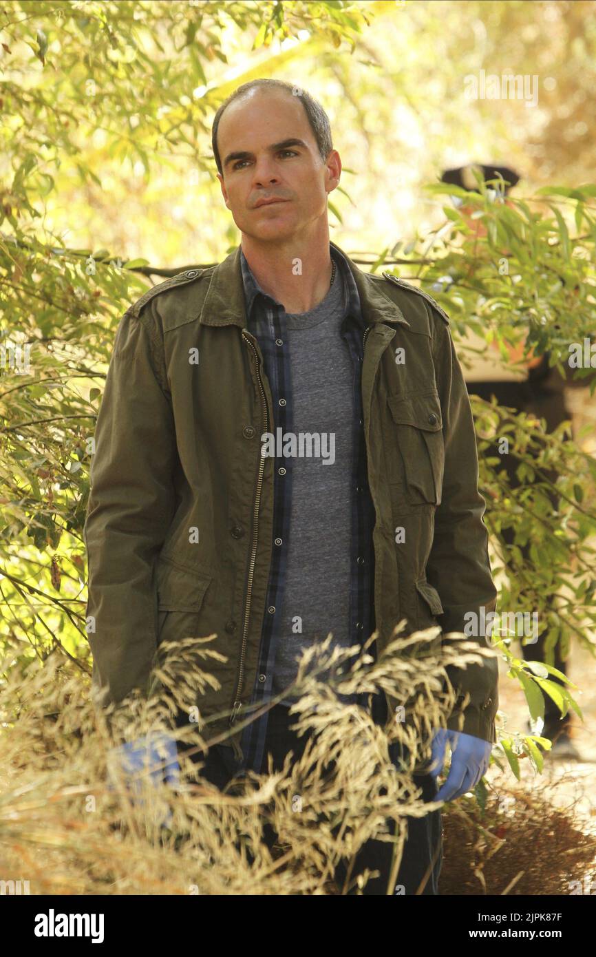 MICHAEL KELLY, CRIMINAL MINDS: SUSPECT BEHAVIOR, 2011 Stock Photo - Alamy