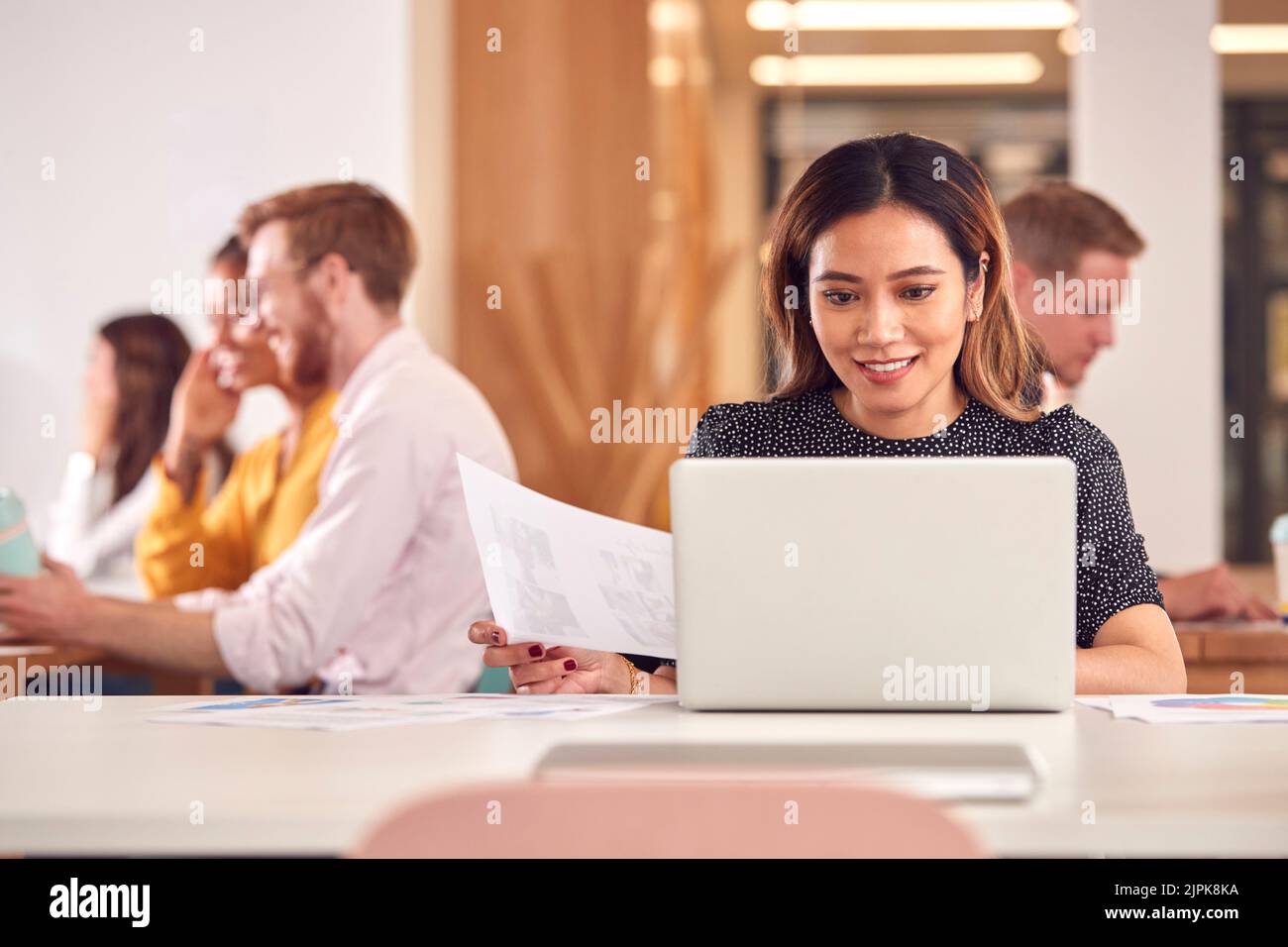 office, laptop, employees, office work, offices, computer, computers ...