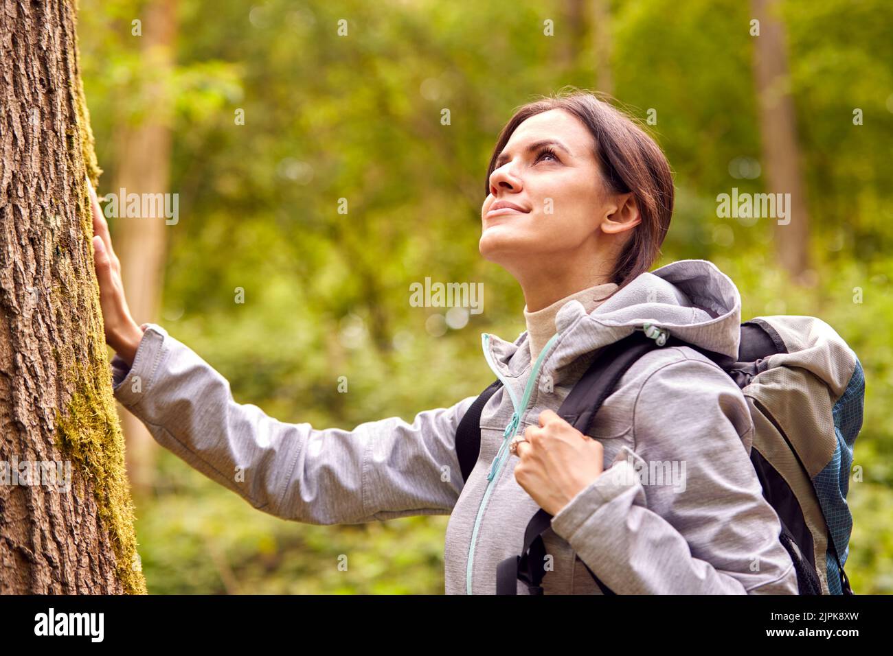 nature, forest, on the move, tree trunk, hiking, bonding, natur ...