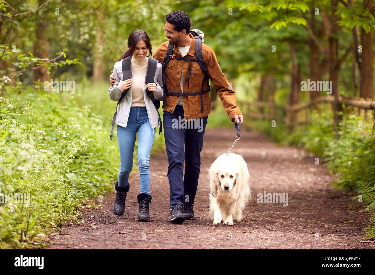 couple, hiking, golden retriever, pairs, golden retrievers Stock Photo ...