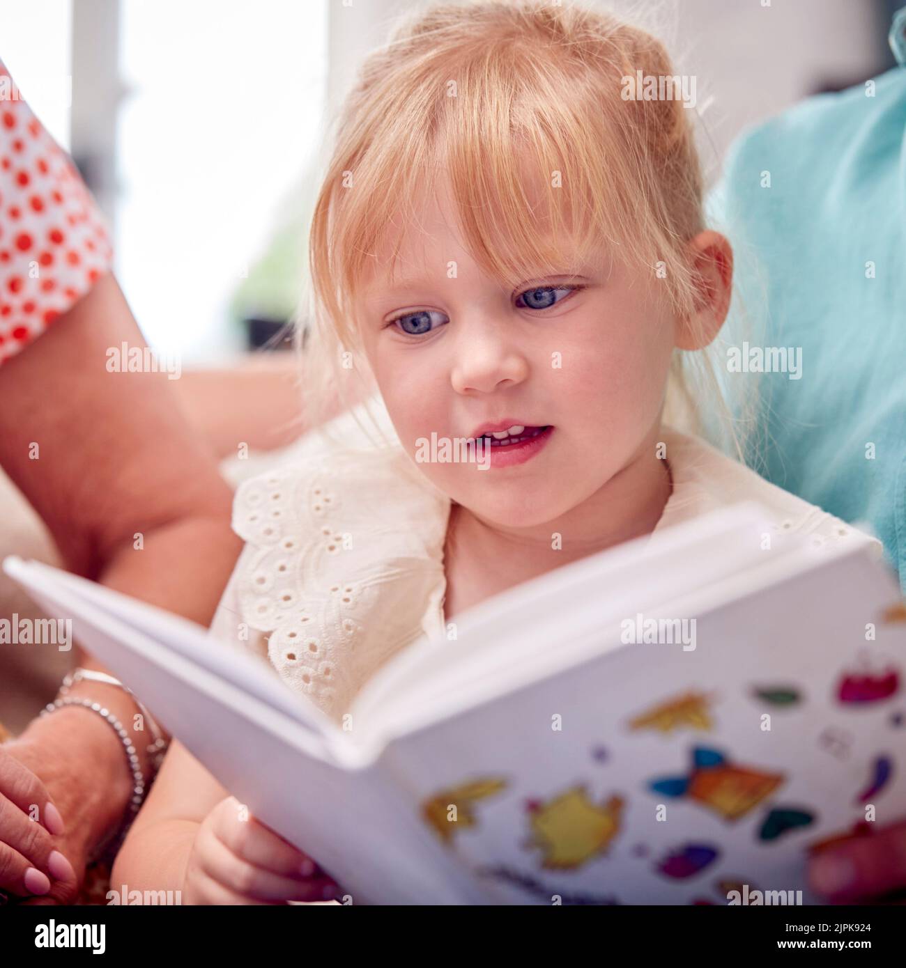 girl, education, book, attentive, picture book, girls, educations ...