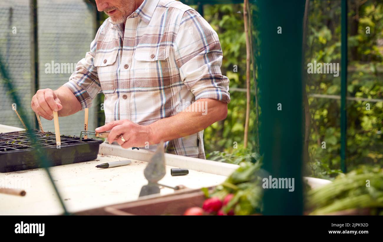 gardening, sowing, cultivation, plant care, tending of plants ...