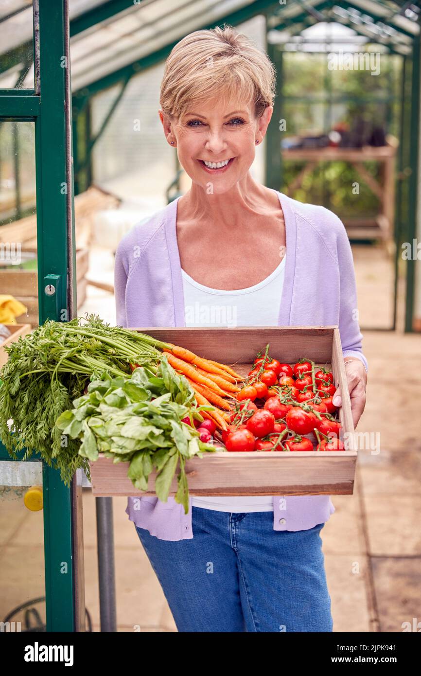senior, happy, vegetable, harvest, elderly, old, seniors, happies ...