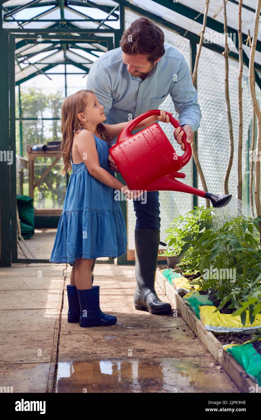 father, daughter, watering, gardening, dad, fathers, daughters, plant ...