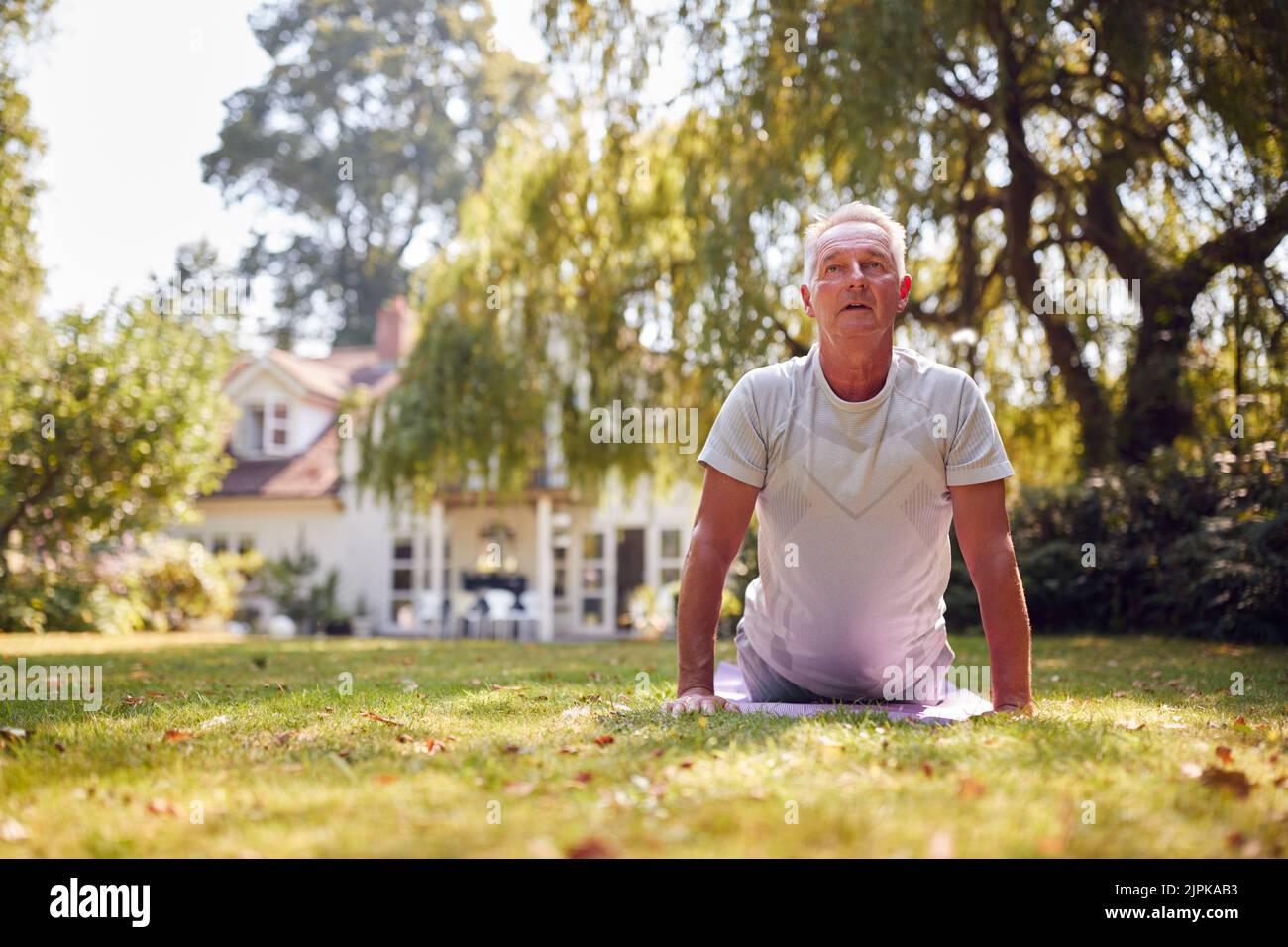 senior, garden, yoga, back bending, outdoor yoga, elderly, old, seniors ...