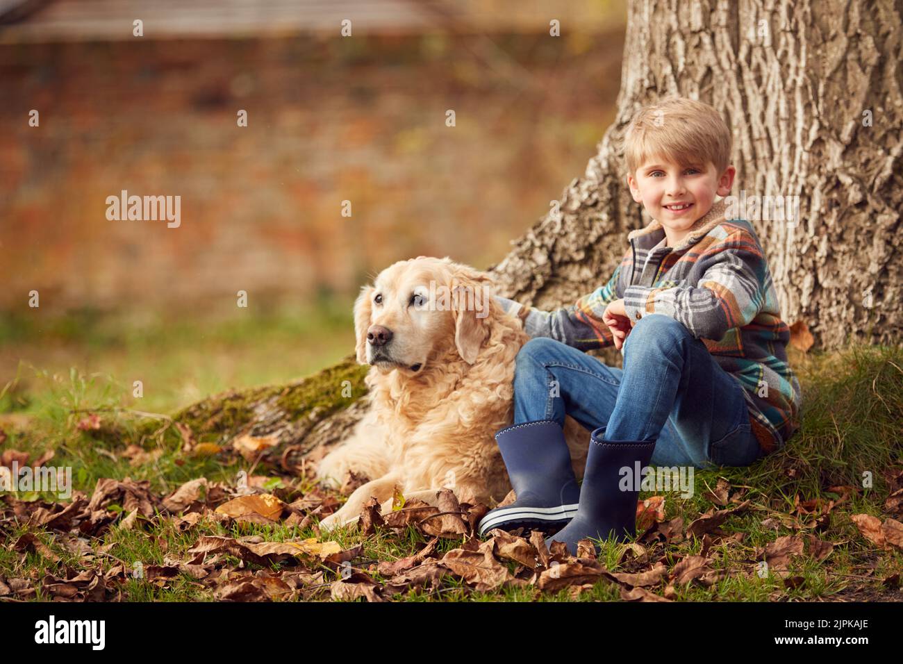 boy, dog, friends, golden retriever, boys, dogs, friend, golden ...