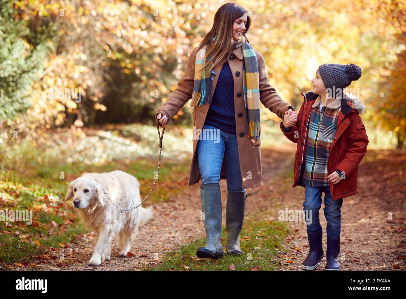 mother, son, golden retriever, walk the dog, mom, mothers, mum, sons ...