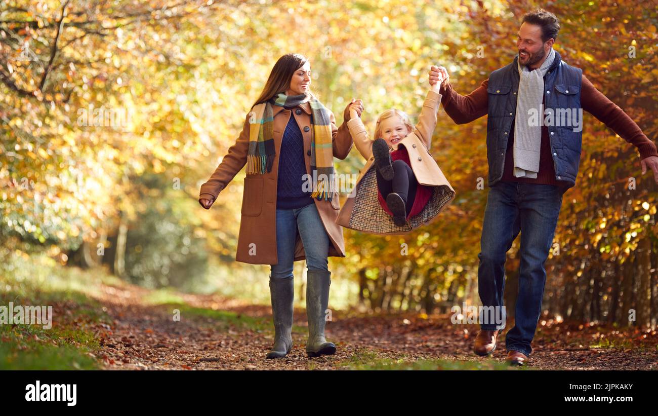 forest, walk, fun, daughter, family, forests, wood, woodland, woods ...