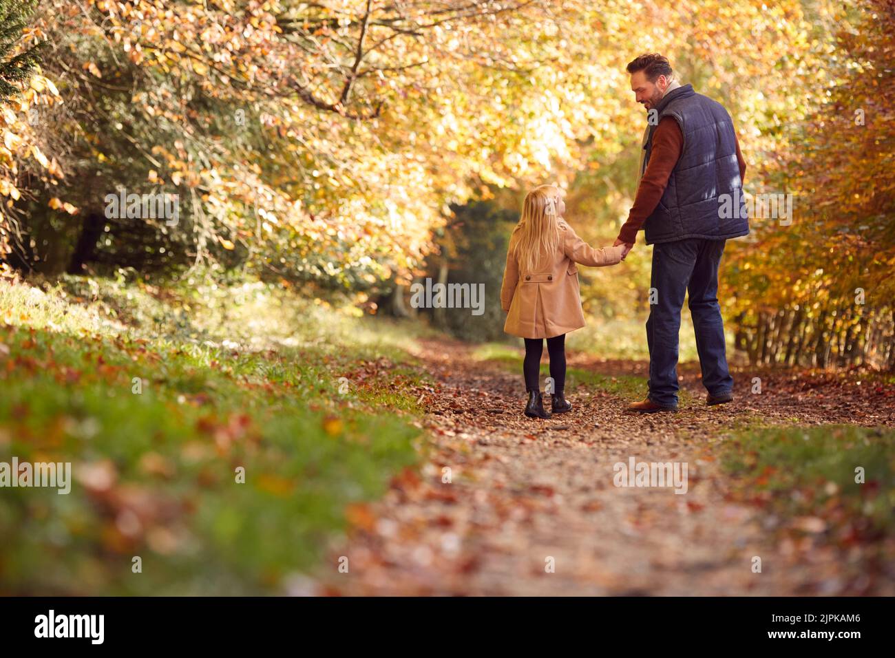 father, happy, path, daughter, walk, dad, fathers, happies, paths ...