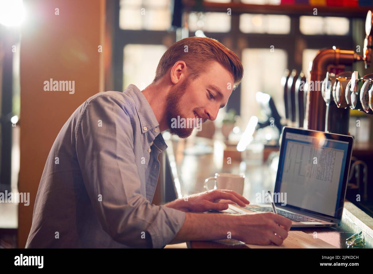 man, laptop, bar counter, working, accounting, owner, guy, men ...