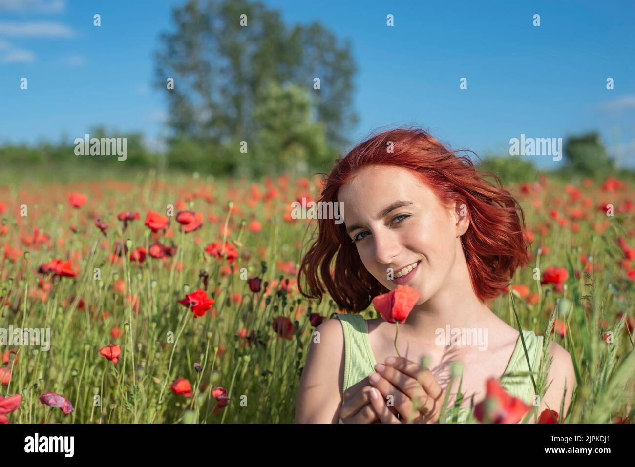 girl, red hair, portrait, girls, red hairs, portraits Stock Photo - Alamy