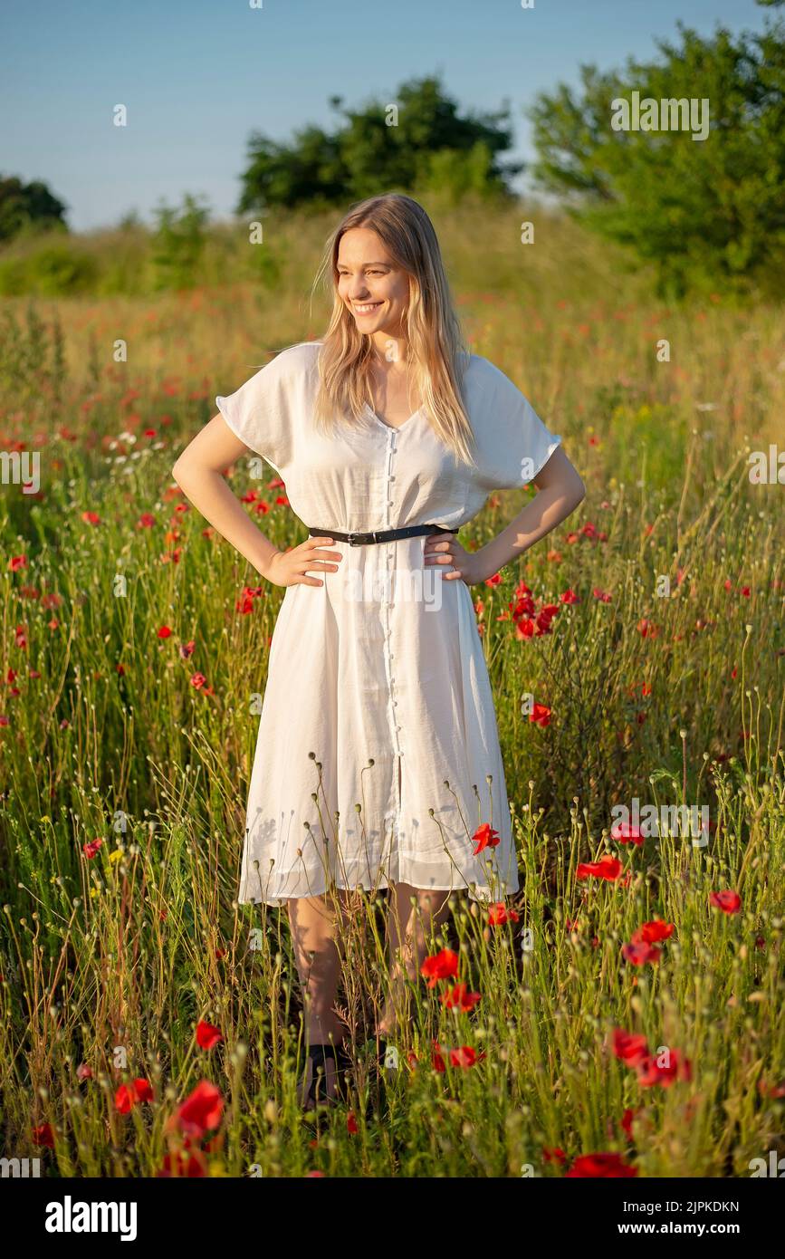 woman, summer, flower meadow, dress, female, ladies, lady, women ...