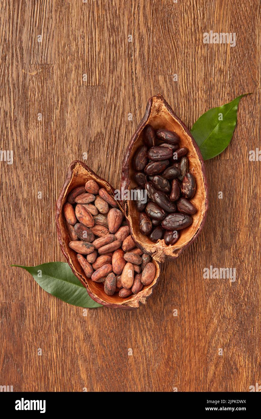cocoa bean, cocoa beans Stock Photo - Alamy