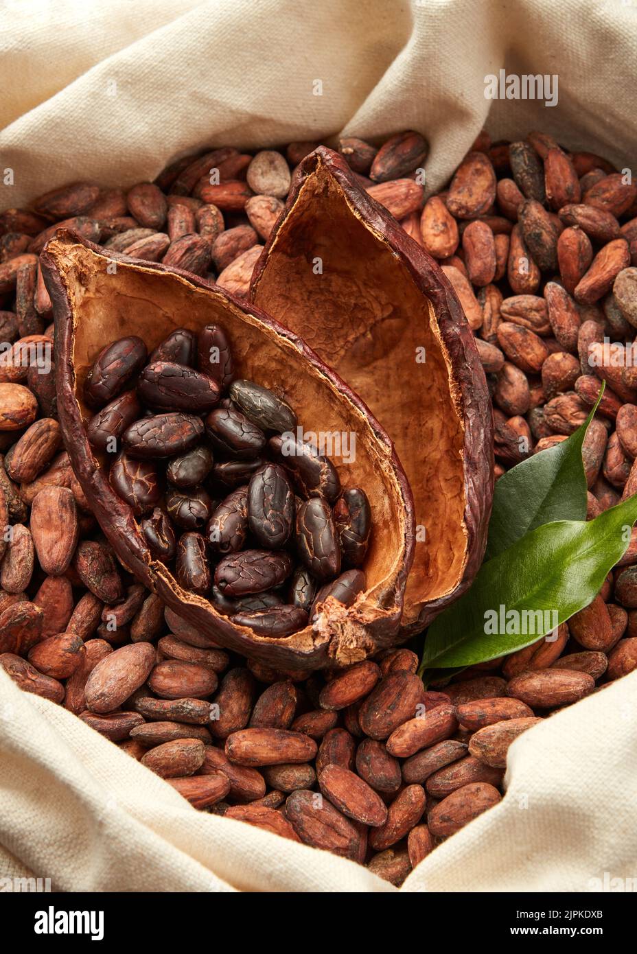 cocoa bean, cocoa beans Stock Photo - Alamy