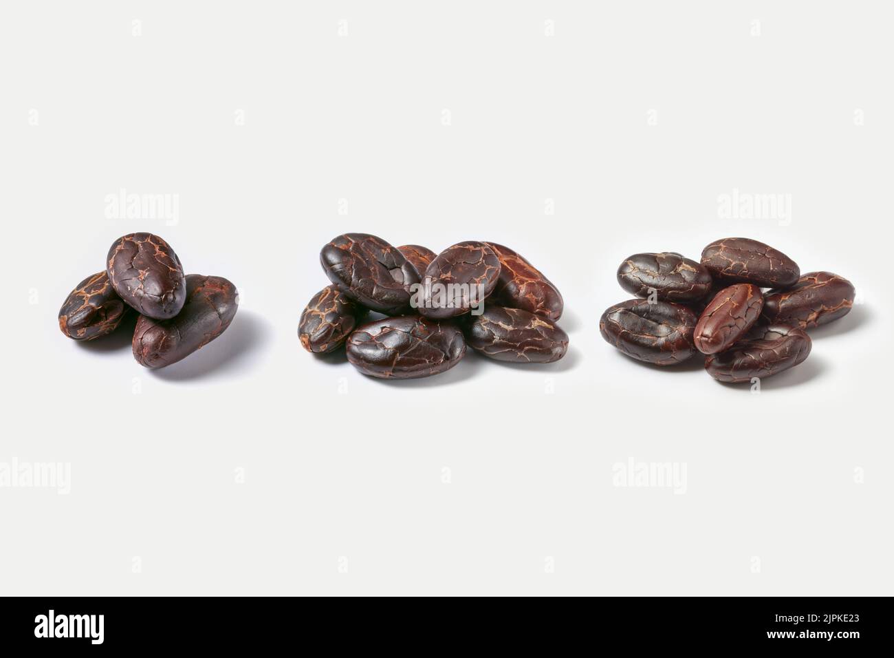 cocoa bean, cocoa beans Stock Photo - Alamy