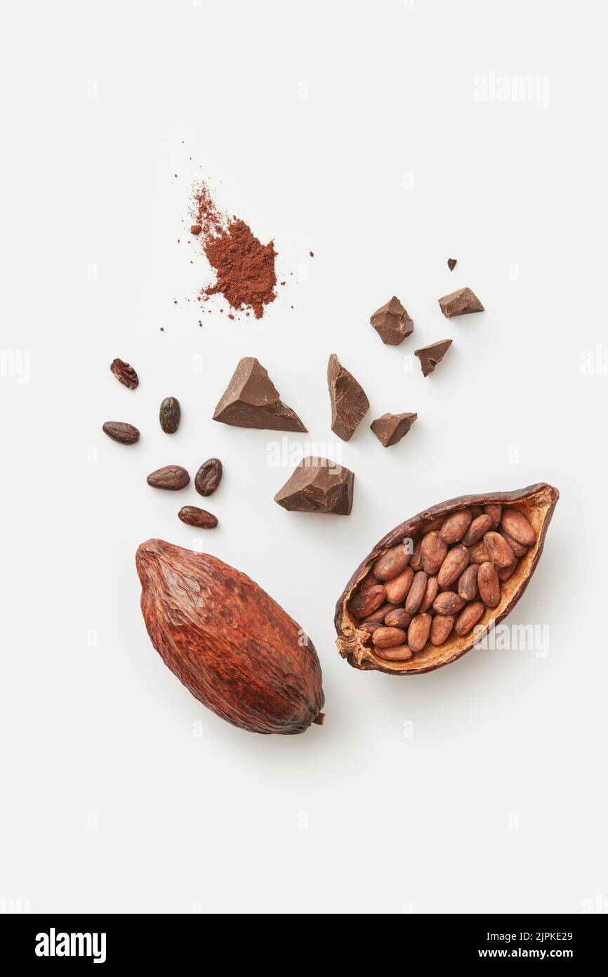 chocolate, hot chocolate, cocoa, chocolates, hot chocolates, cacao ...