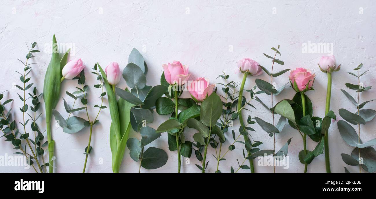 in a row, tulips, roses, in a line, in a rows, tulip, rose Stock Photo ...