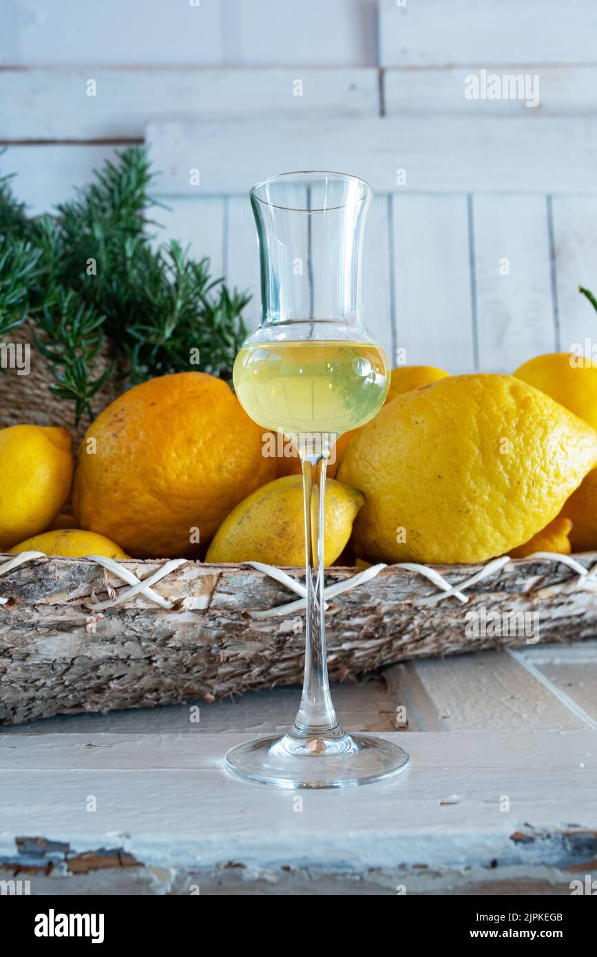 limoncello, citron liquor, lemons, limoncellos, citron liquors Stock ...