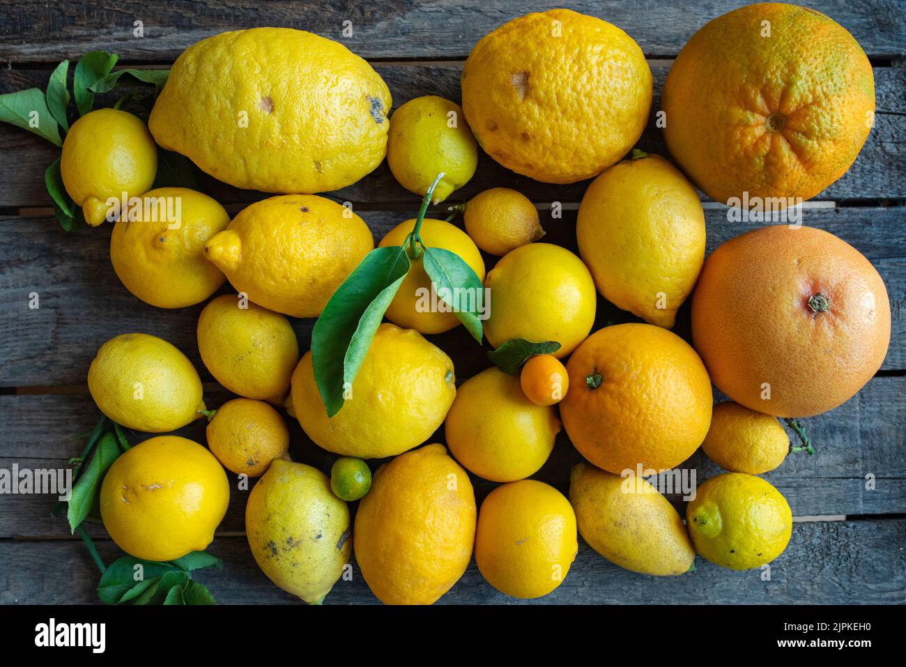 citrus fruit, citrus fruits Stock Photo - Alamy
