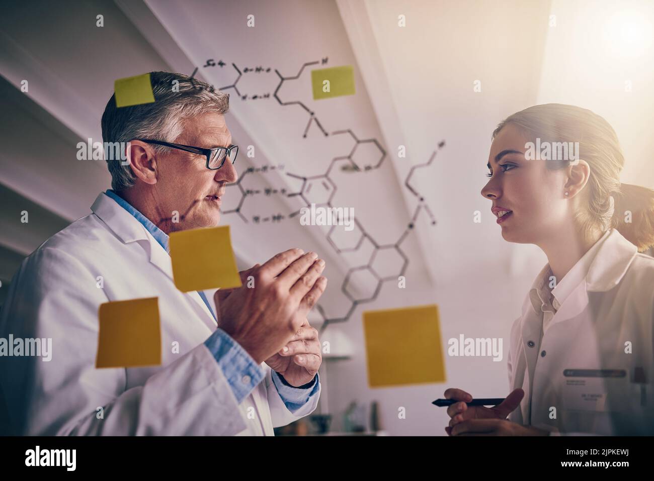 Lets talk about this. two focused scientists working together solving ...