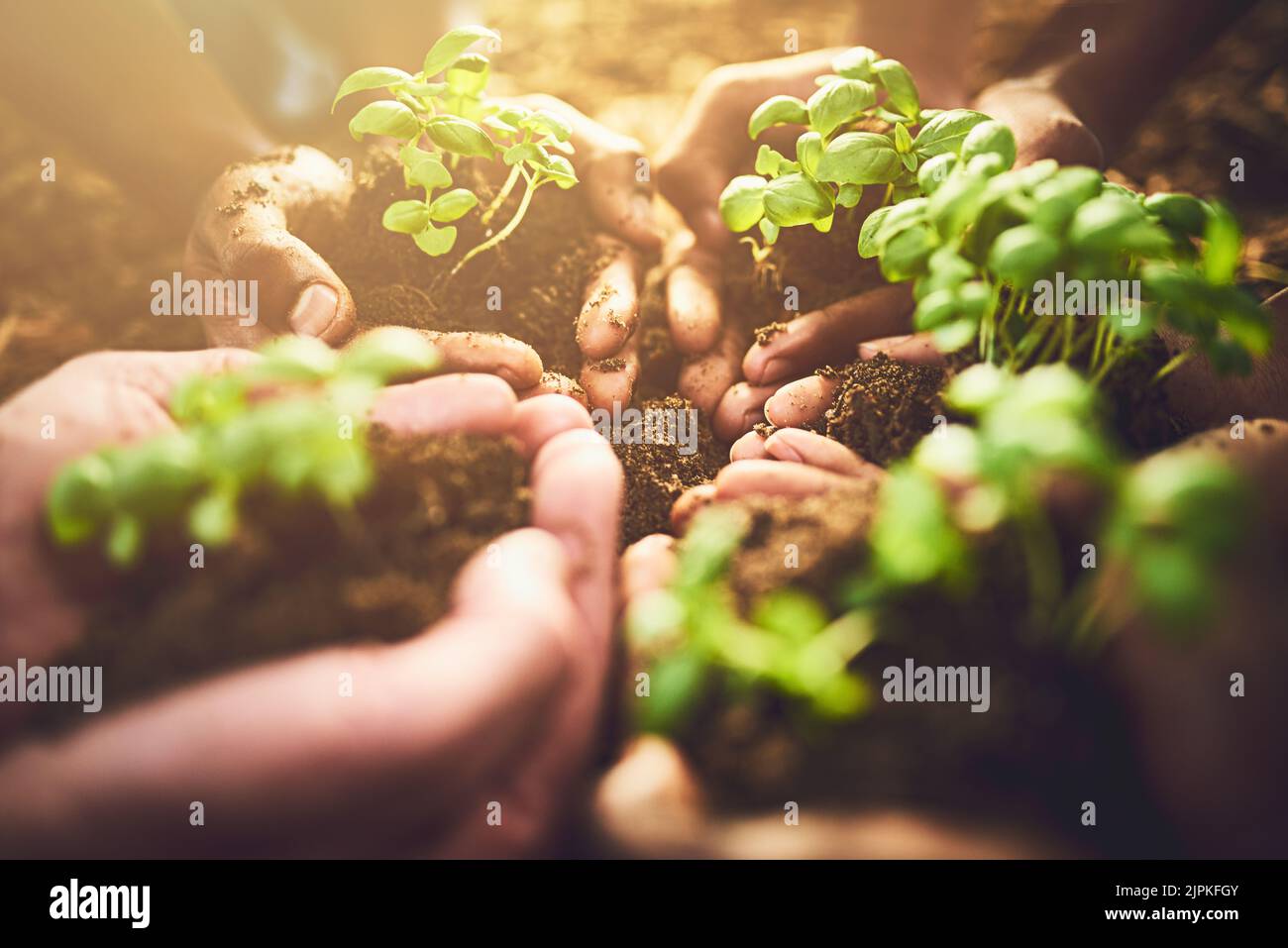 Theres hope for the future if we protect it together. Closeup shot of a ...