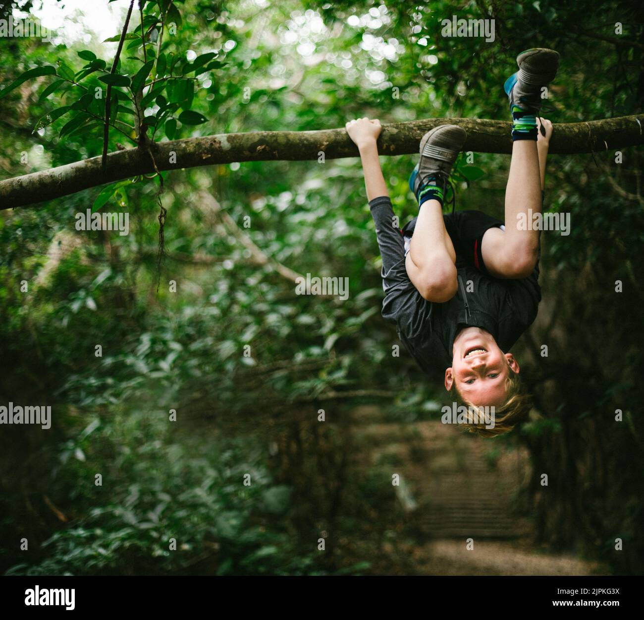 Tween boy climbing a tree with a smile from tree branch in forest Stock ...