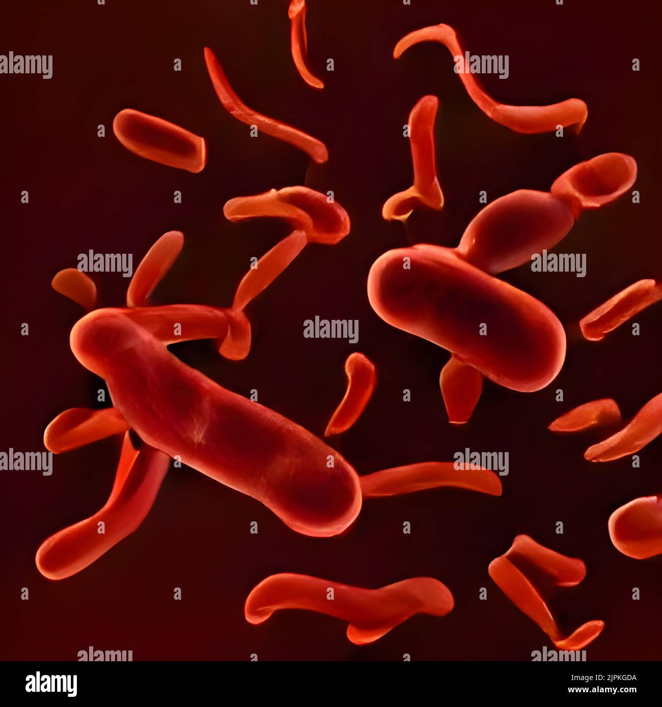 Bacteria 3d hi-res stock photography and images - Alamy