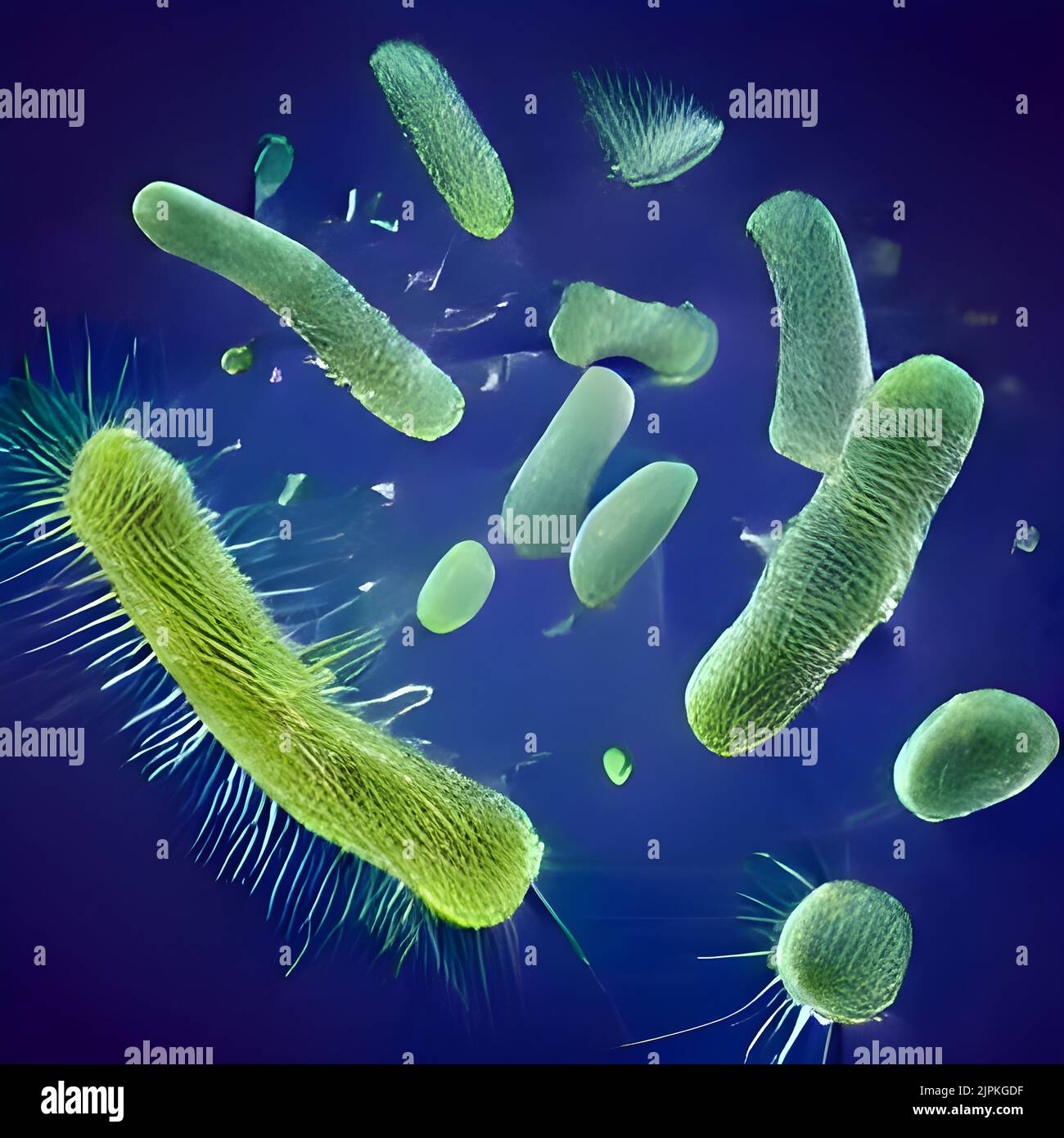 Airborne bacteria hi-res stock photography and images - Alamy