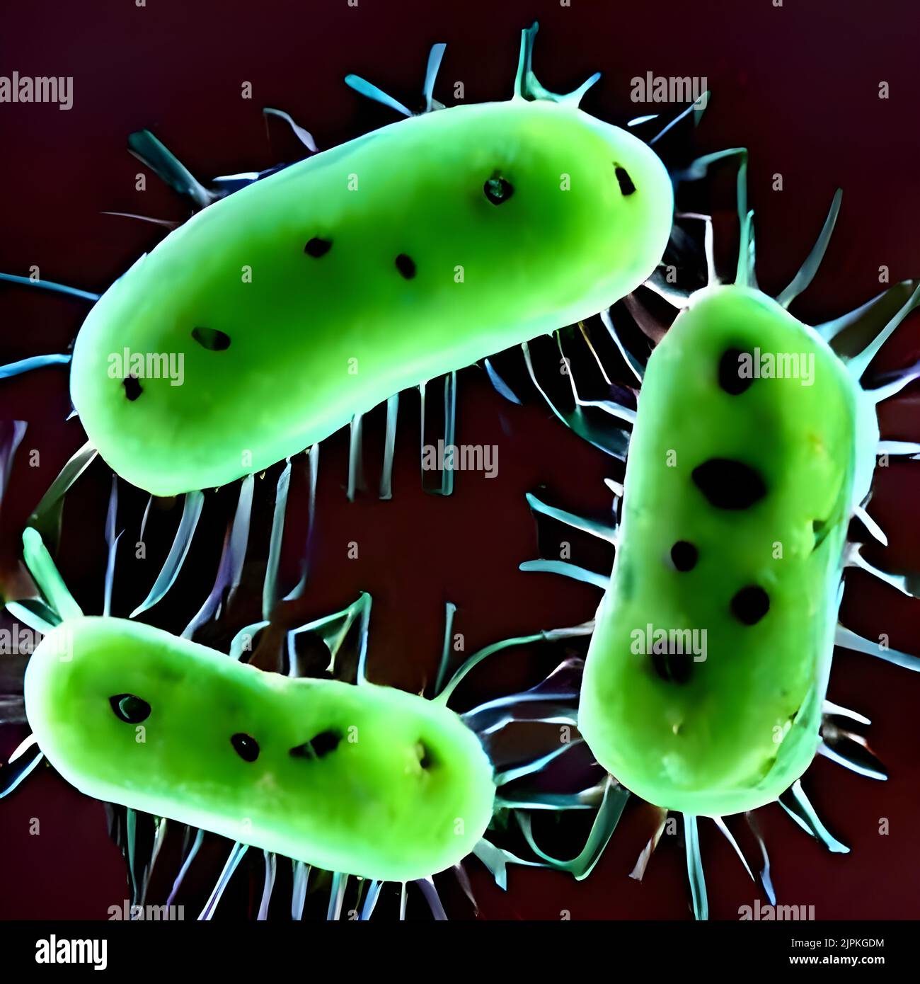 Microscopic view bacteria hi-res stock photography and images - Alamy