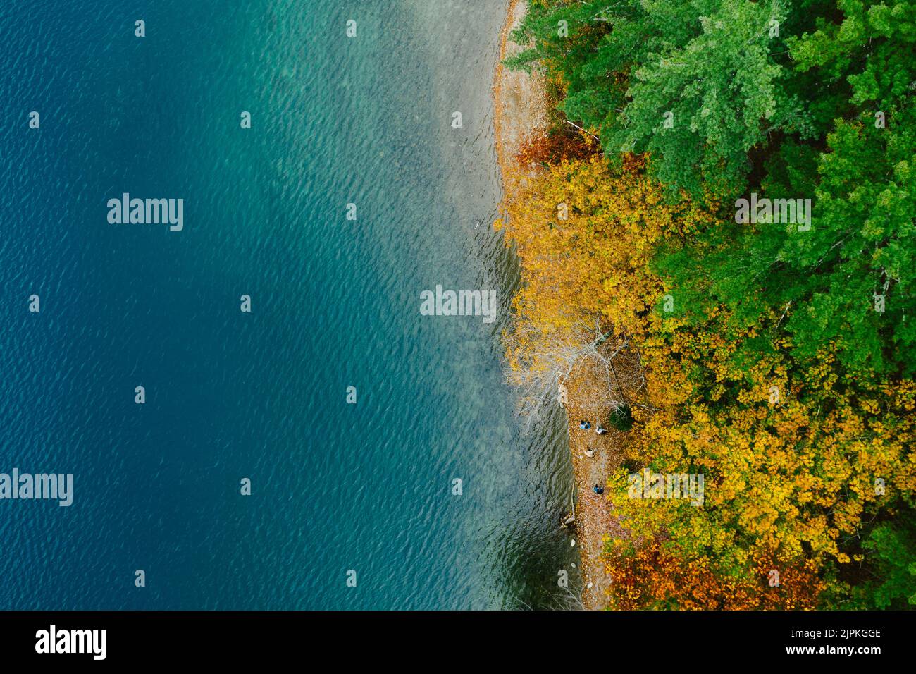 People walk along coast of blue water with fall foliage in New England ...