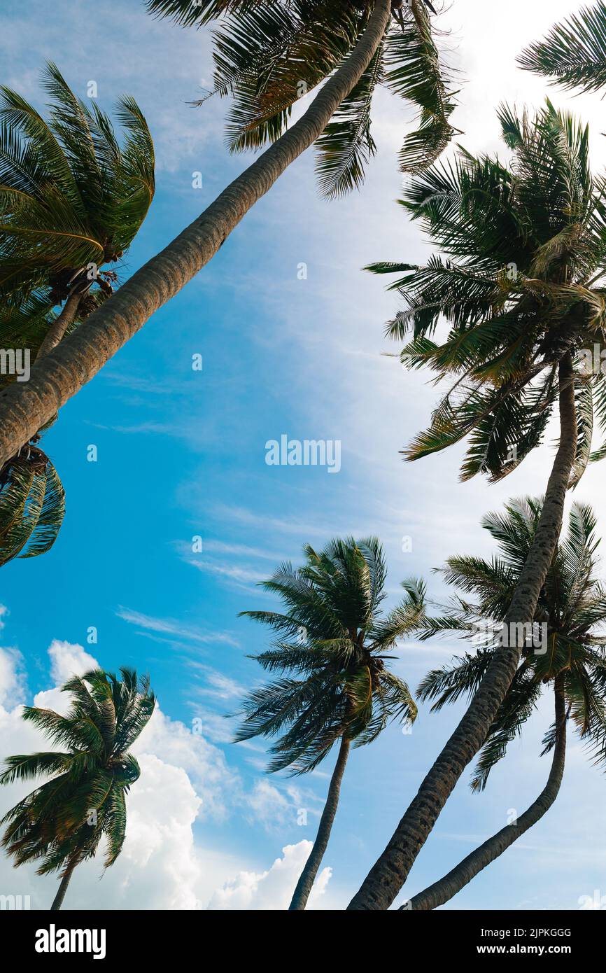 Paradisiacal islands hi-res stock photography and images - Alamy