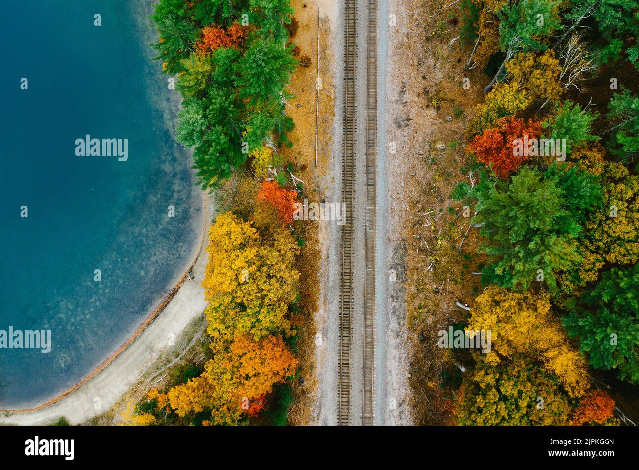 Railroad tracks through fall foliage forest with lake coast Stock Photo ...