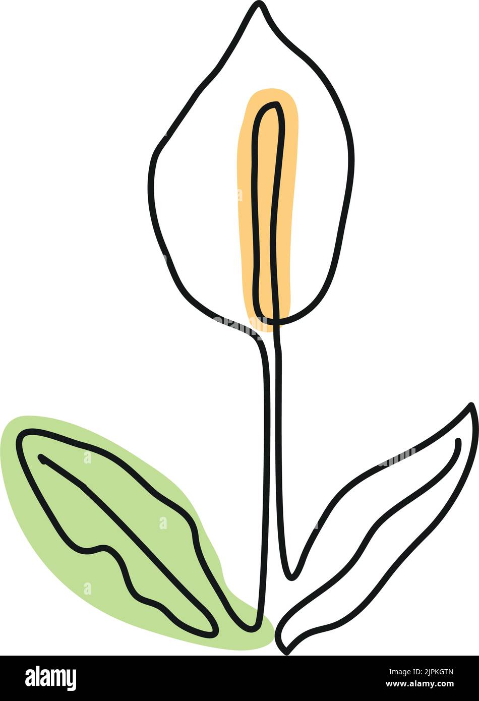 one line white flower Stock Vector Image & Art - Alamy