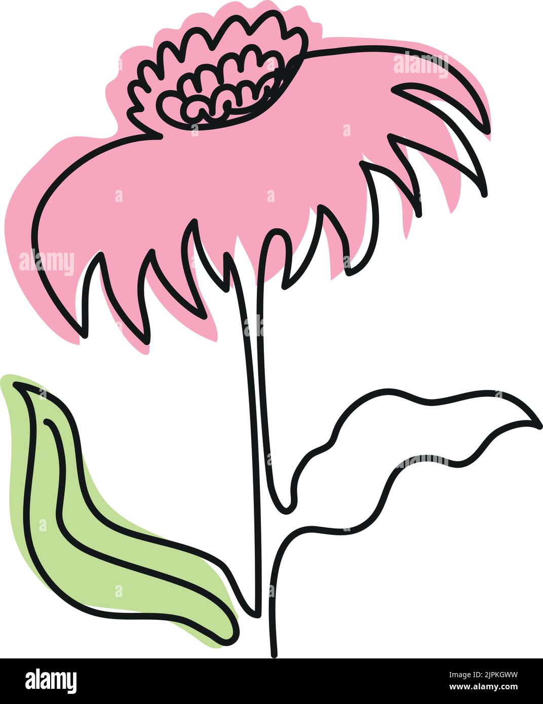 flower one line white background Stock Vector Image & Art - Alamy