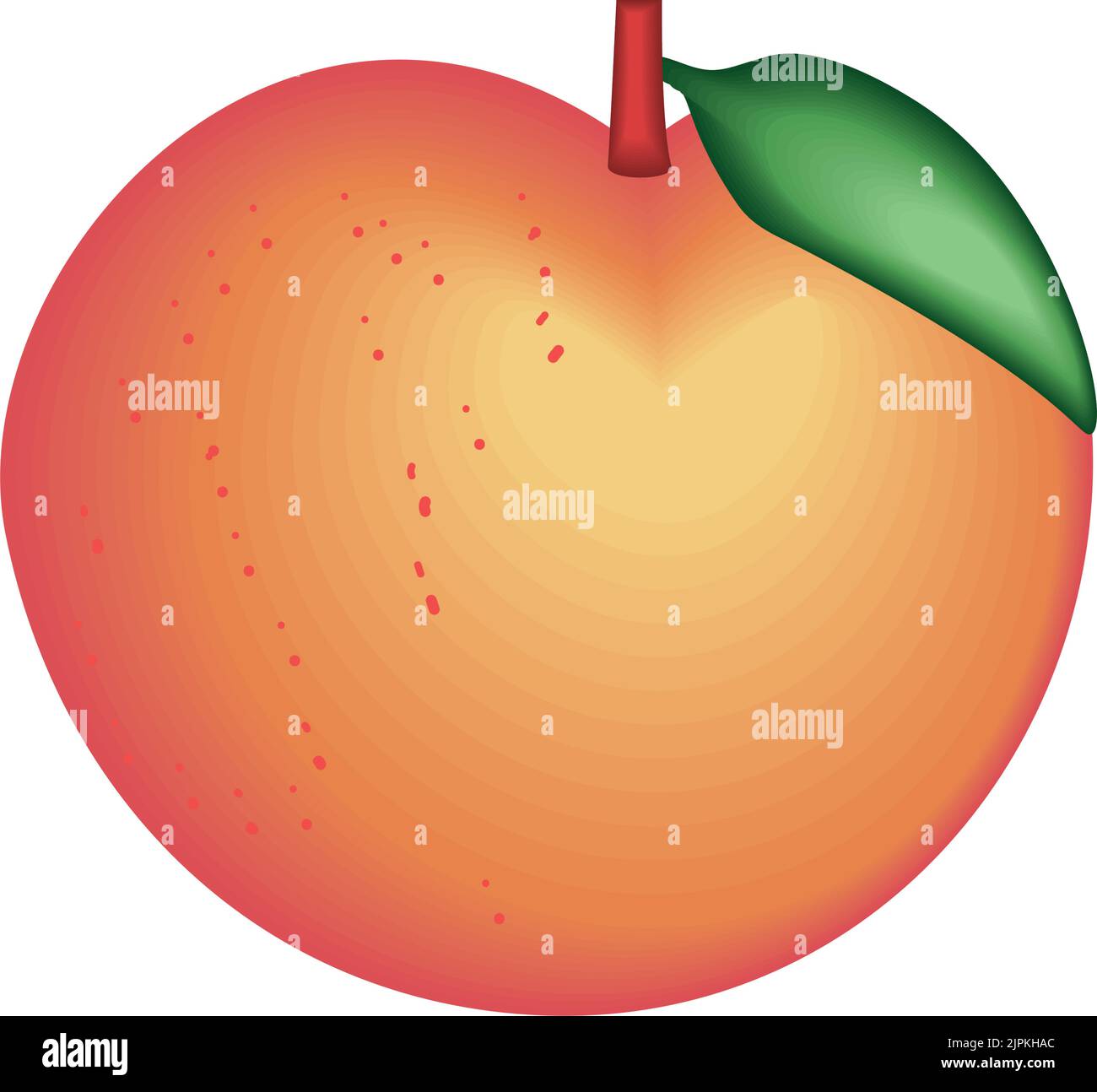 realistic fruit peach Stock Vector Image & Art - Alamy