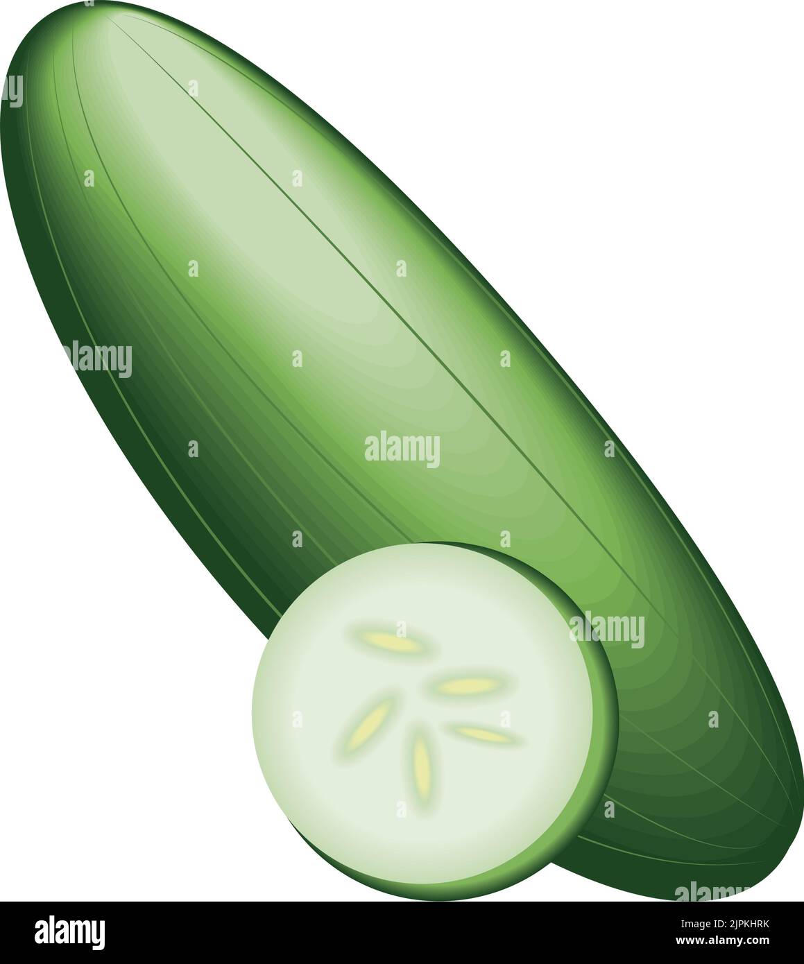 realistic vegetable cucumber Stock Vector Image & Art - Alamy