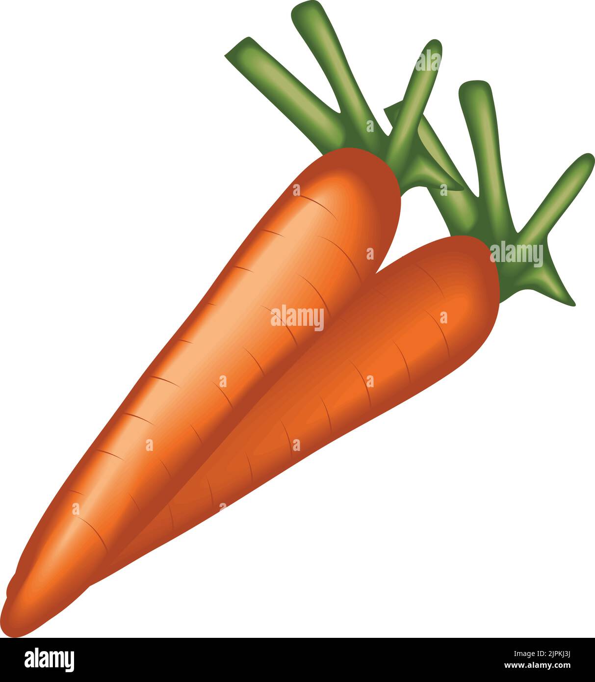 realistic vegetable carrot Stock Vector Image & Art - Alamy