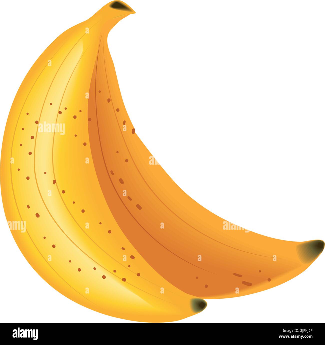 realistic fruit banana Stock Vector Image & Art - Alamy
