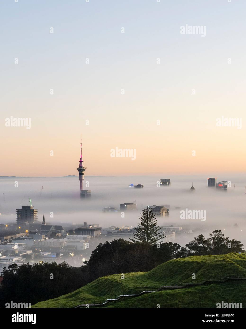 Sky Tower in pink light and Auckland city in the fog at sunrise, from ...