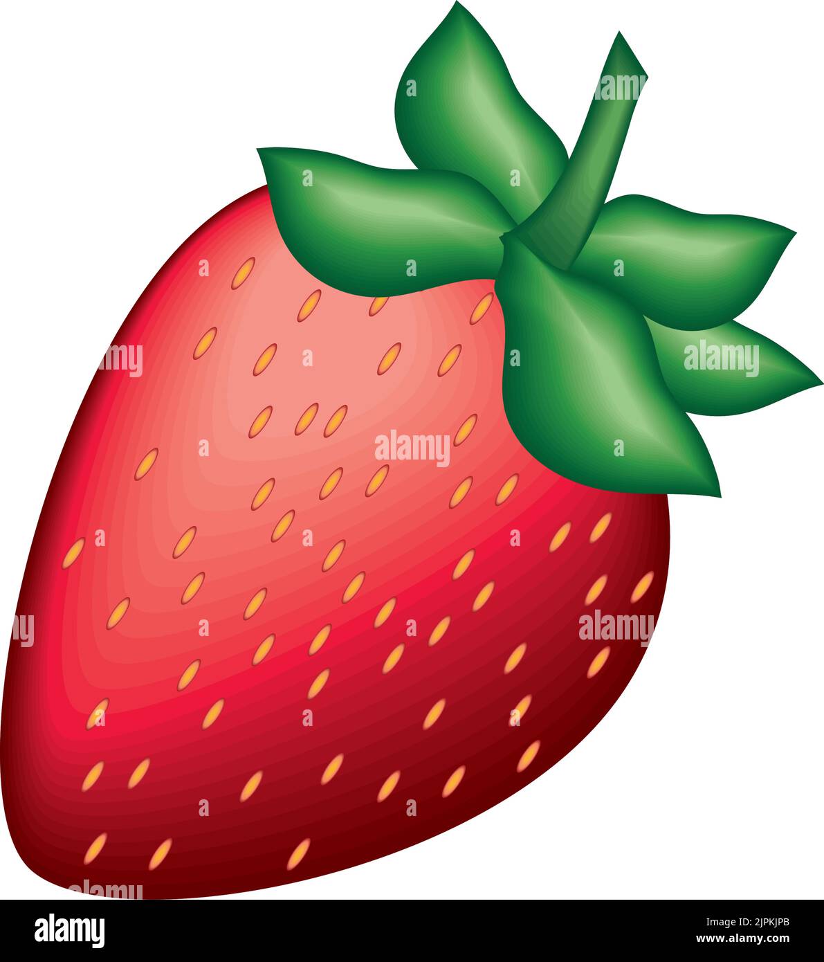 realistic fruit strawberry Stock Vector Image & Art - Alamy