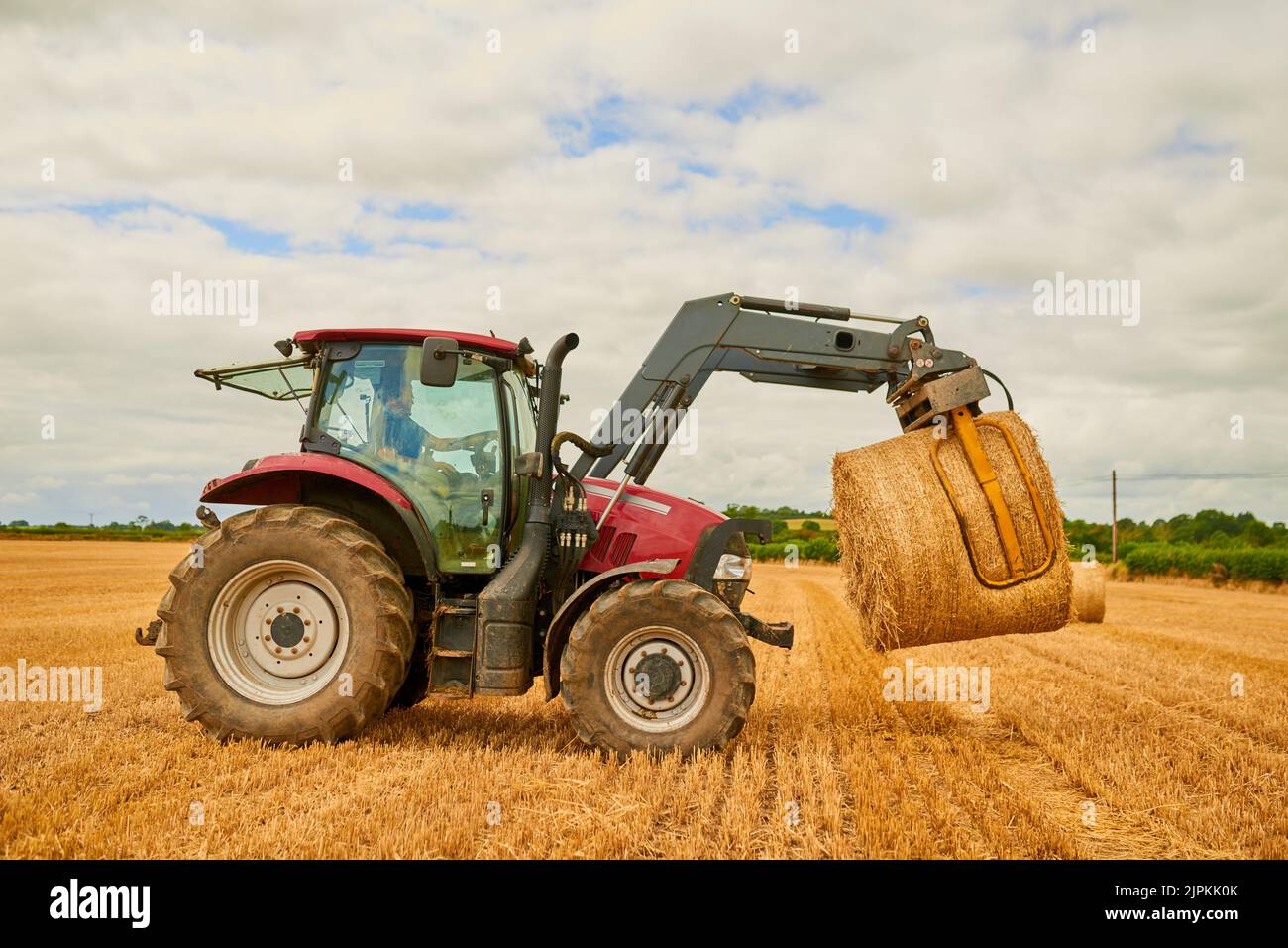 Stacking bales of hay. a farmer stacking hale bales with a tractor on ...