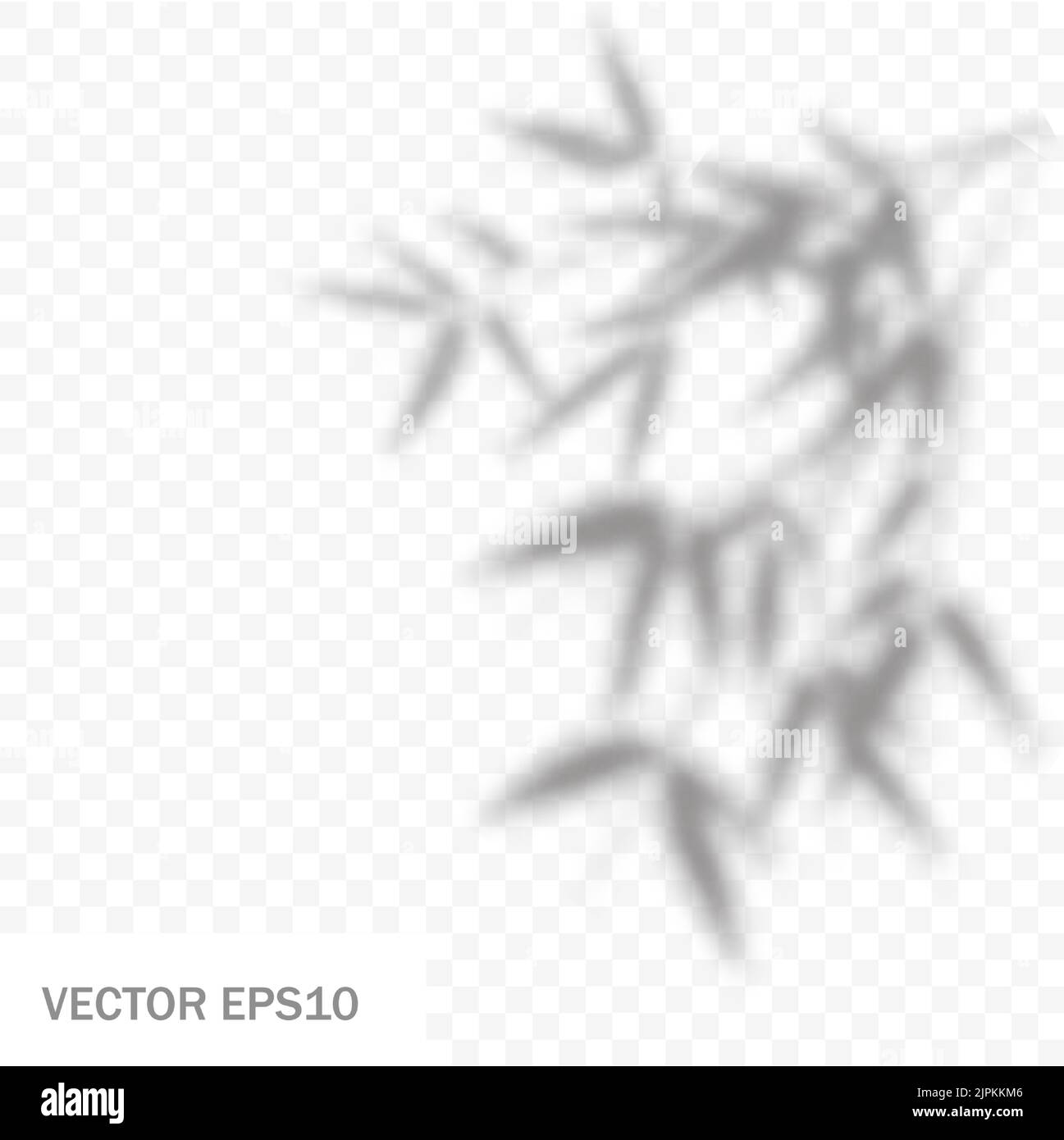 Overlay shadow of bamboo branch. Leaves of plants reflection on ...